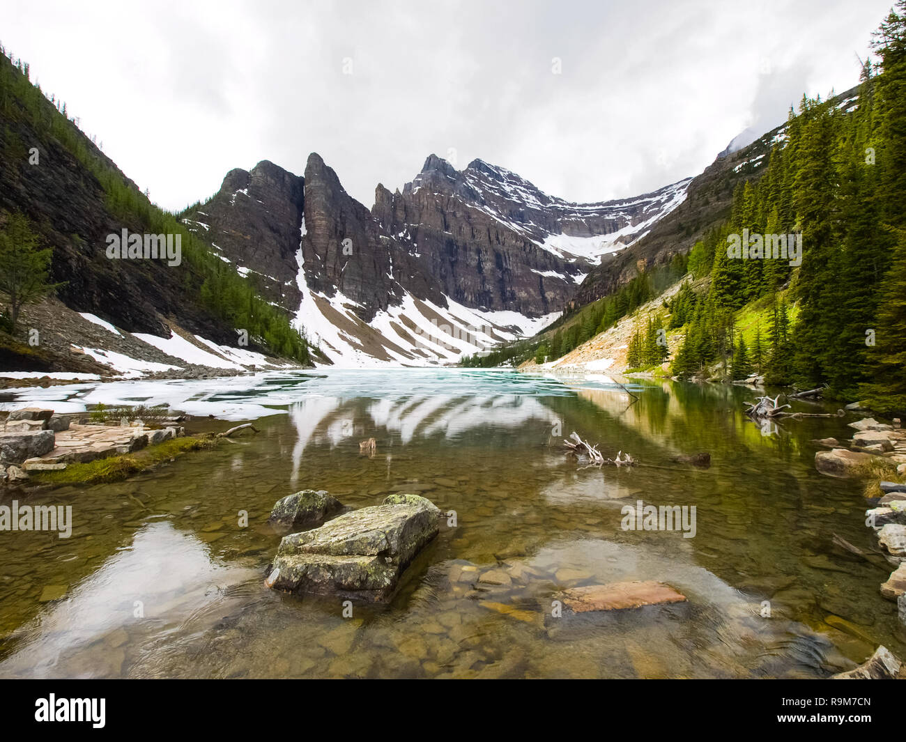 Mountains and forests in Canada. The pristine nature of the Canadian ...