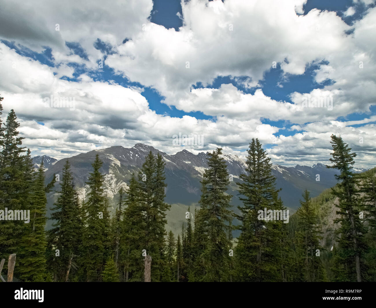 Mountains and forests in Canada. The pristine nature of the Canadian ...