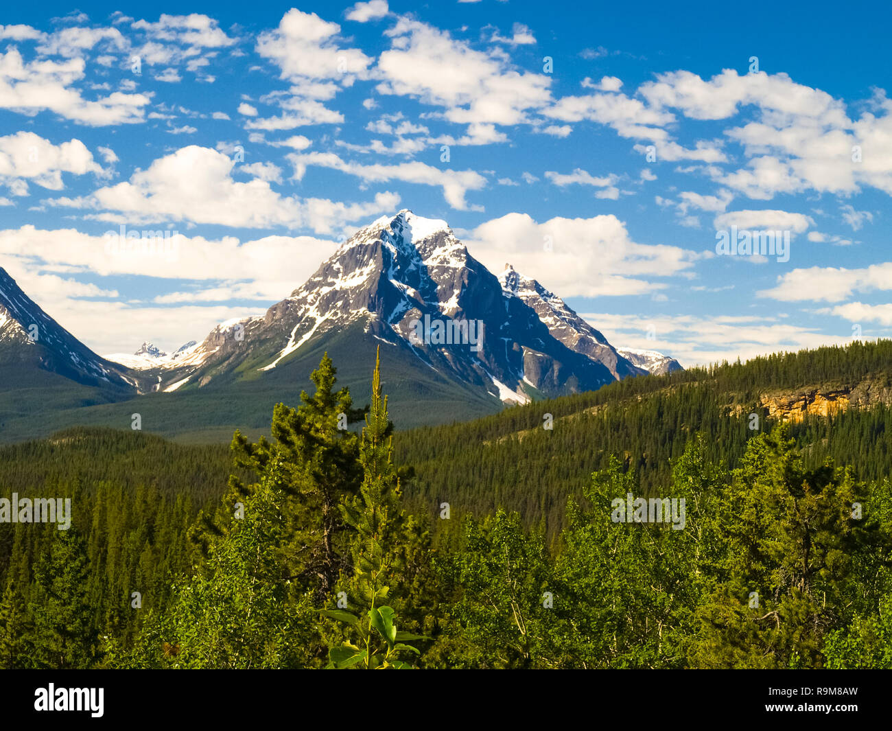 Mountains and forests in Canada. The pristine nature of the Canadian ...