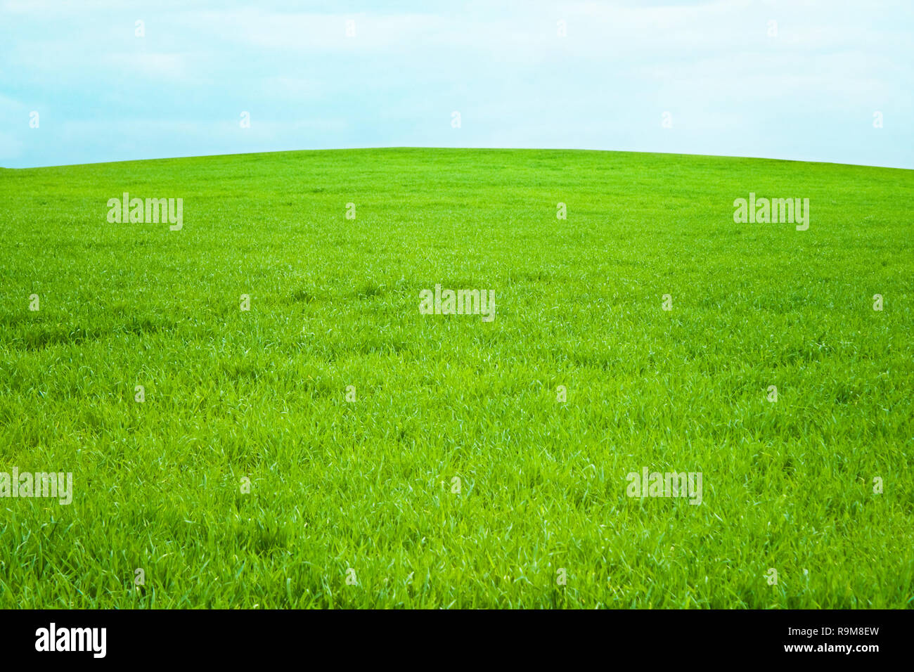 spring landscape scenery - beauty in nature, landscapes and environment ...