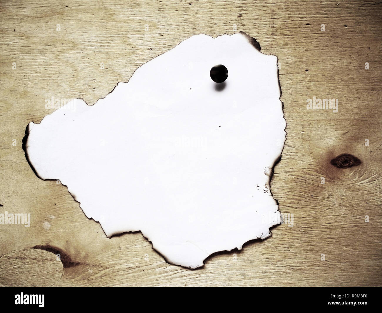 pinned note mockup - interests, notes, study and learning styled ...