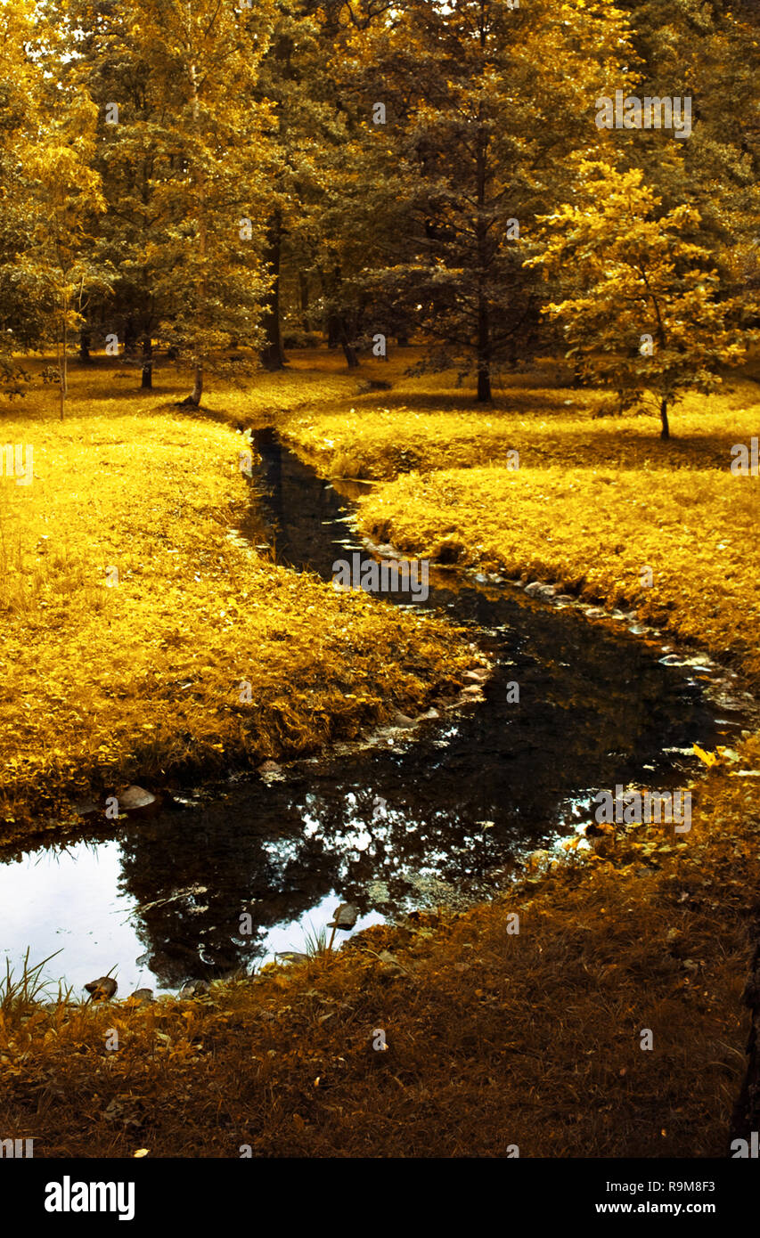 fall scenery, beauty of autumn - nature and environment concept ...