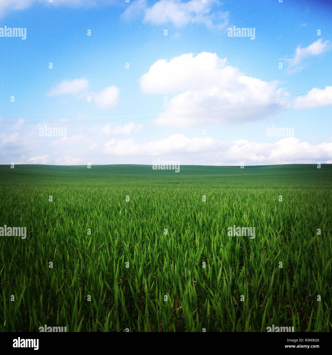 spring landscape scenery - beauty in nature, landscapes and environment ...