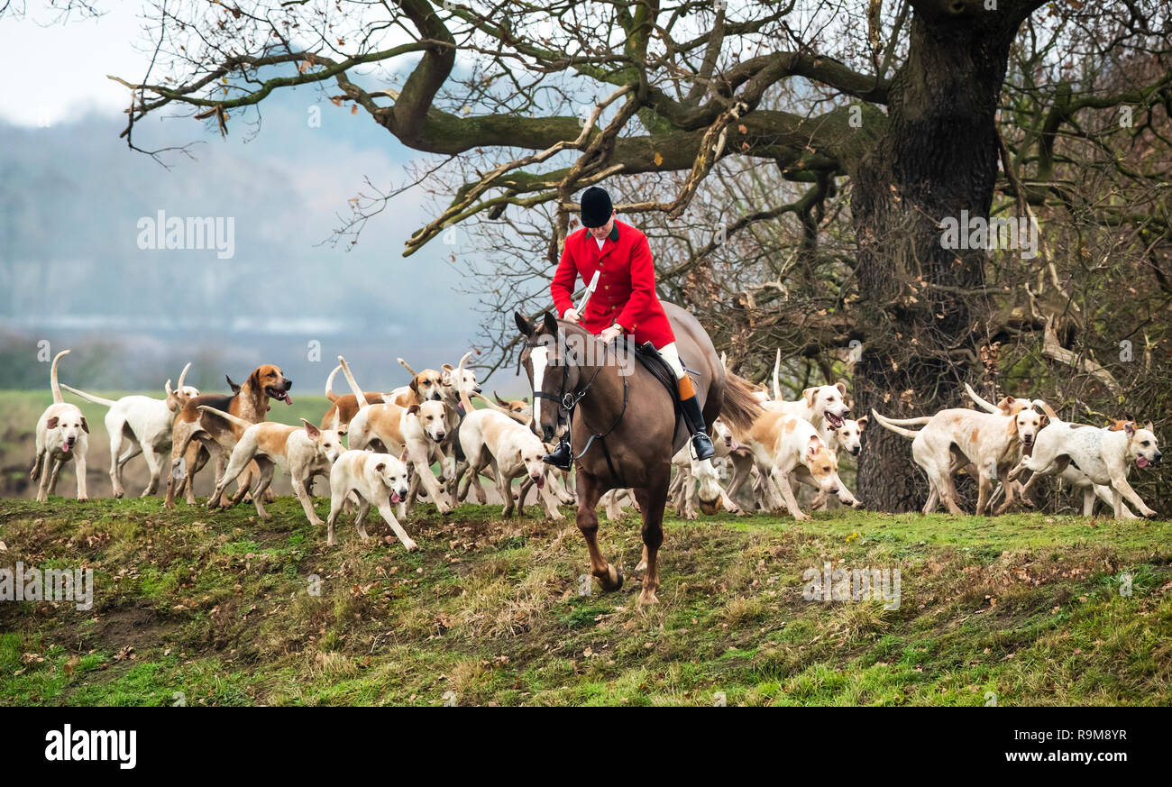Members of the Grove and Rufford Hunt, formed in 1952, near Bawtry in ...