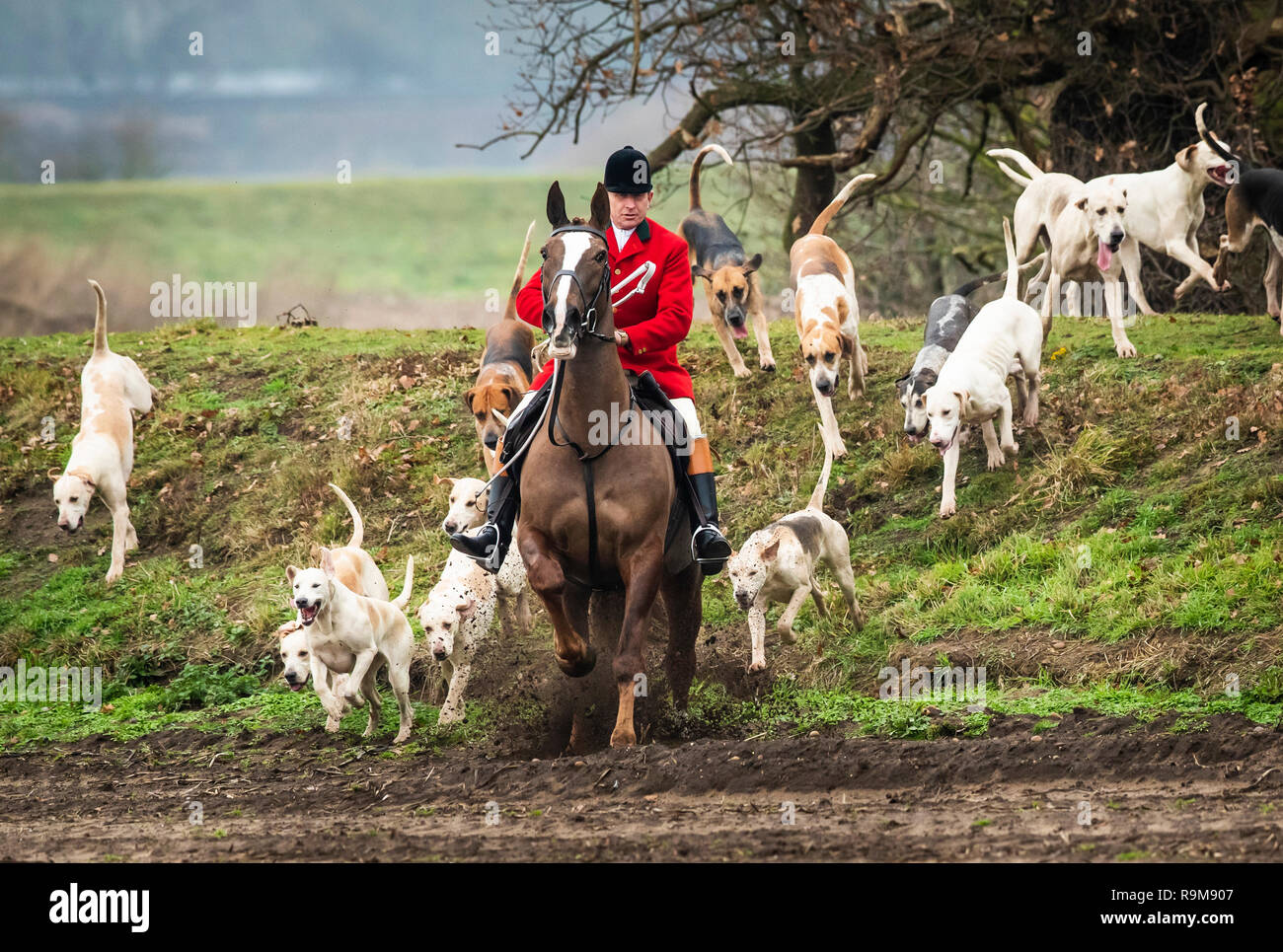 Members of the Grove and Rufford Hunt, formed in 1952, near Bawtry in ...