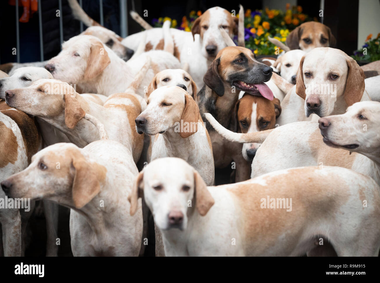 Grove and rufford hi-res stock photography and images - Alamy