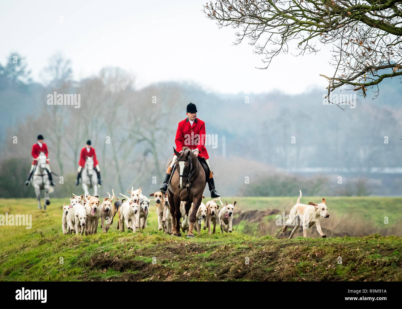 Members of the Grove and Rufford Hunt, formed in 1952, near Bawtry in ...