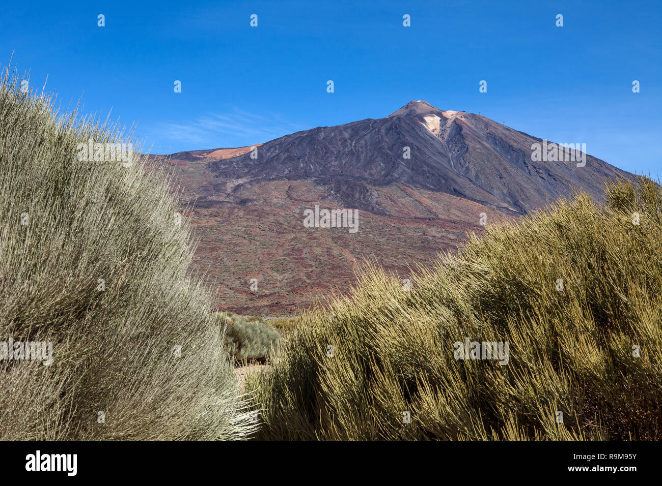 Volcanic landscape in Tenerife, Canary Islands, Spain Stock Photo - Alamy