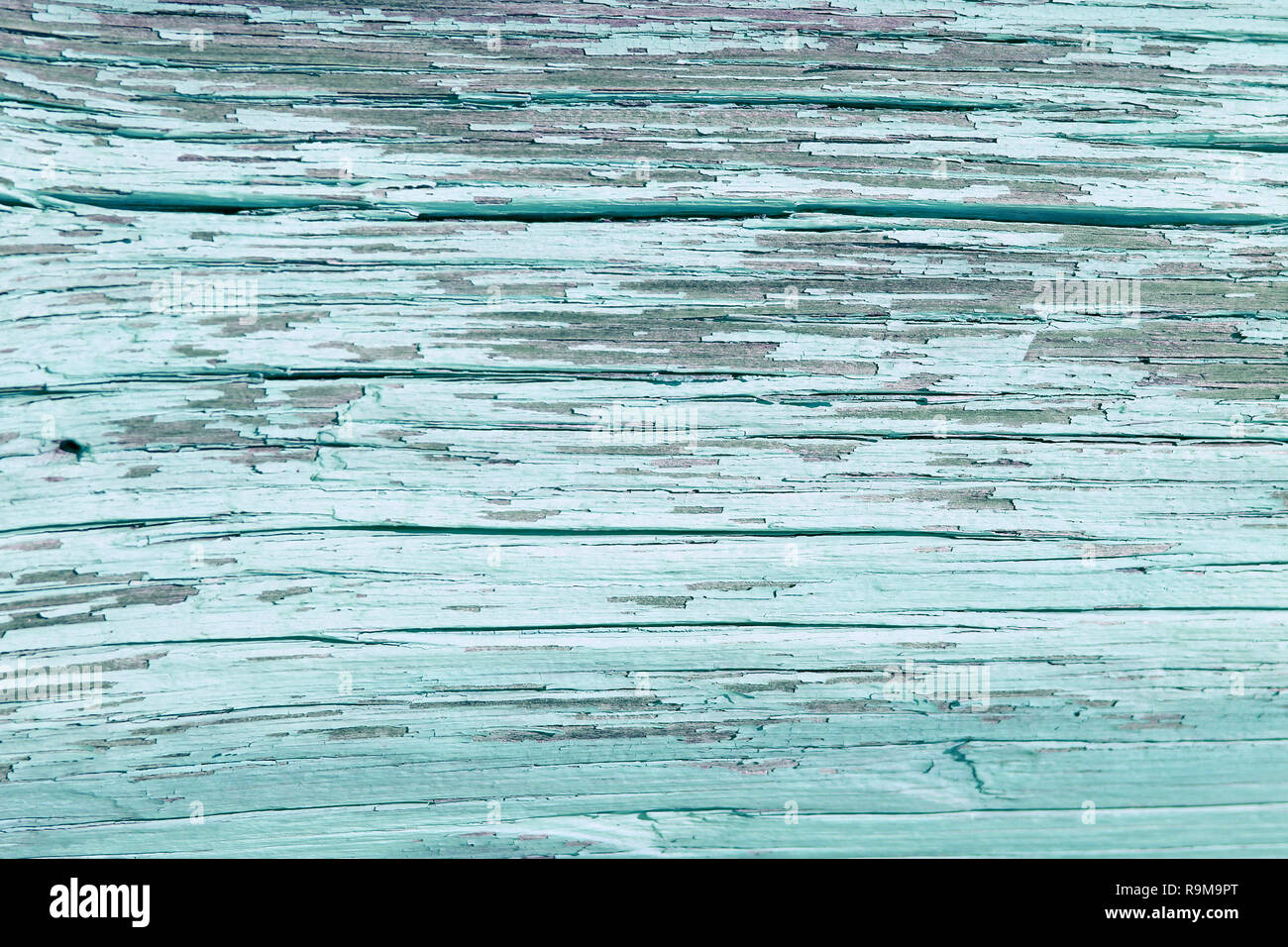 Abstract background of an old wooden wall with a bright texture ...