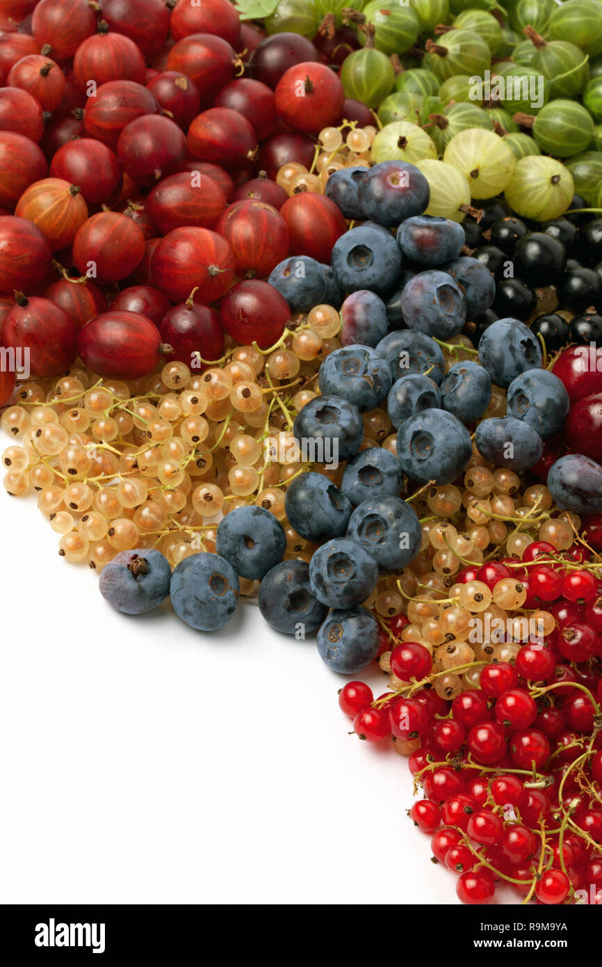 Different berries isolated on the white background Stock Photo - Alamy