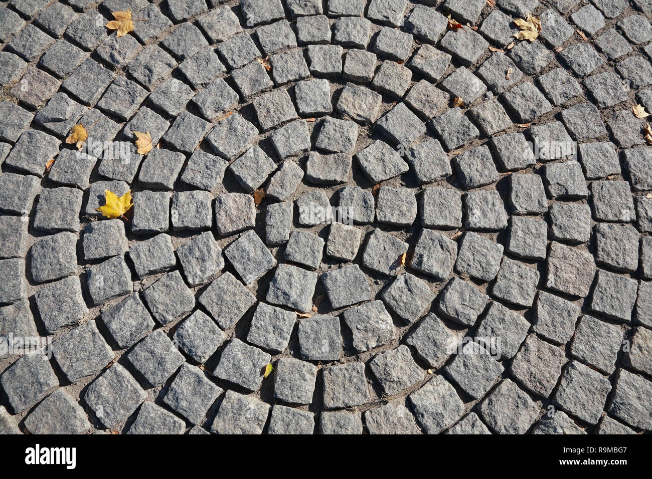 Pavement. Gray paving stones are laid out by circles Stock Photo - Alamy