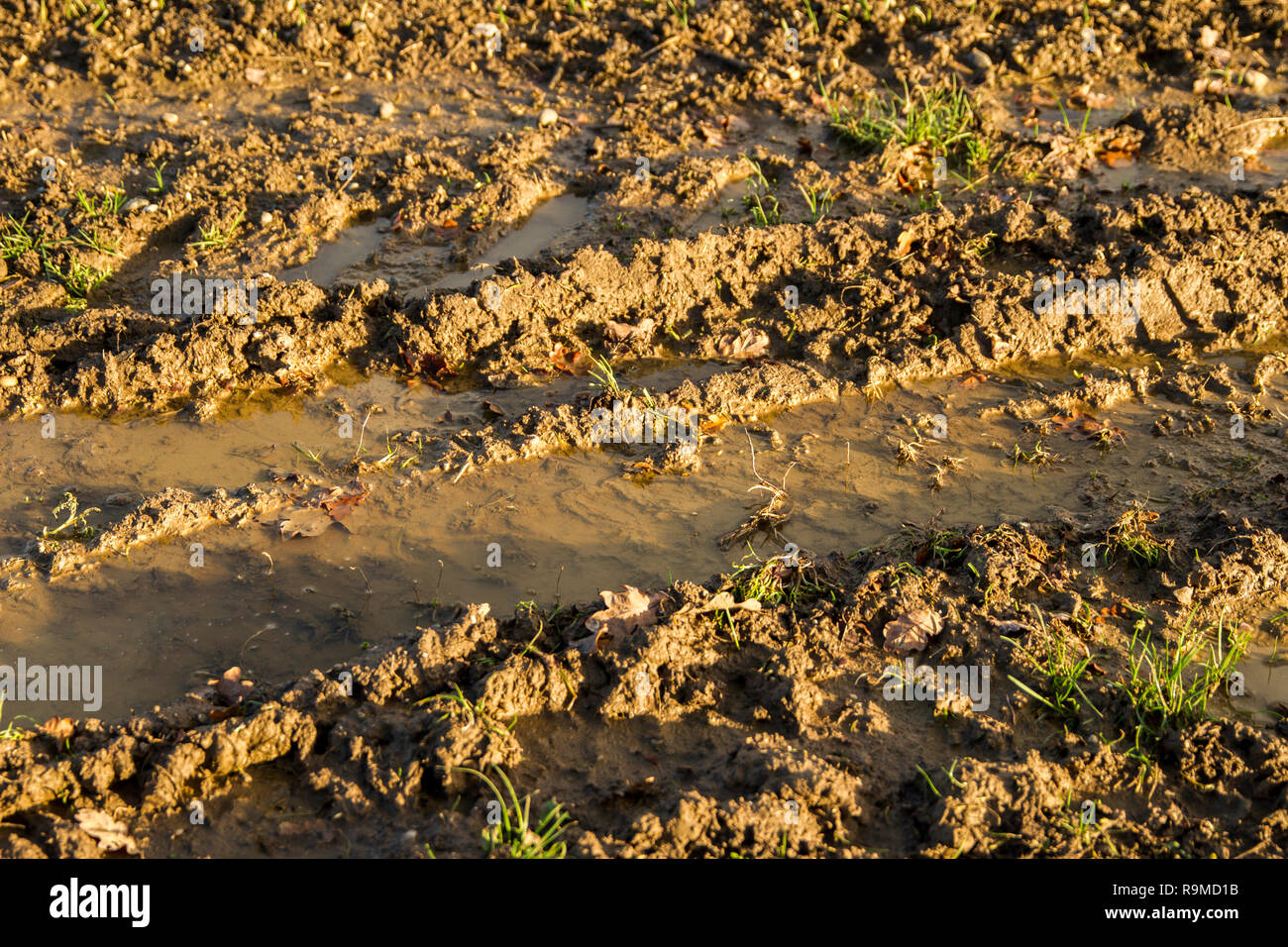 Soil floods hi-res stock photography and images - Alamy