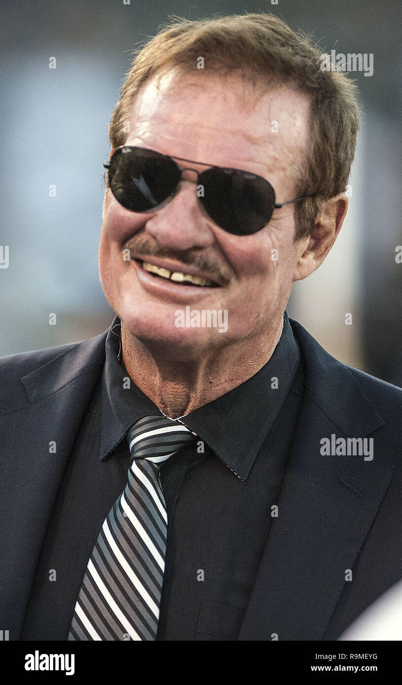 Ted hendricks nfl hi-res stock photography and images - Alamy