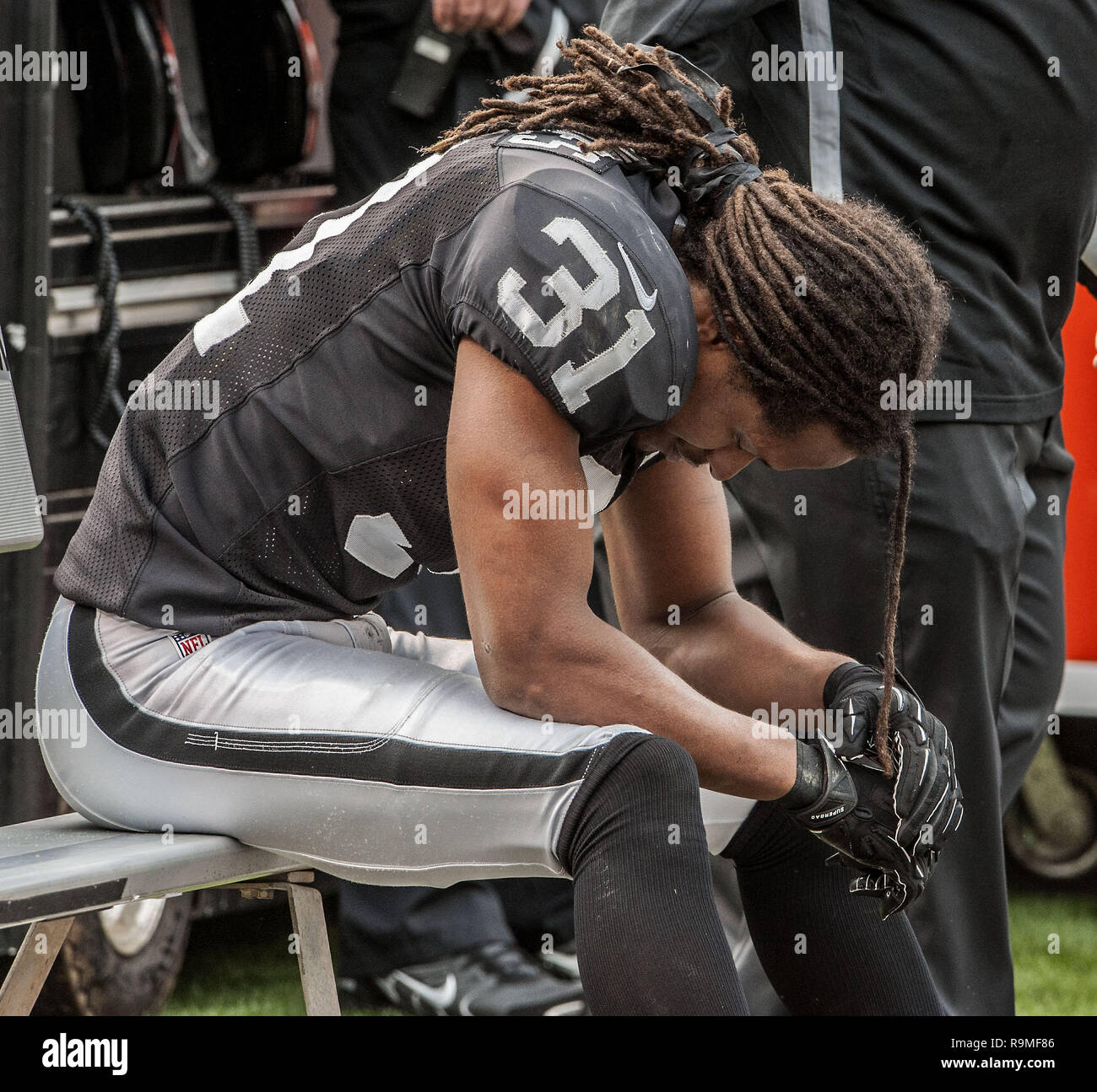 Golub back hi-res stock photography and images - Alamy