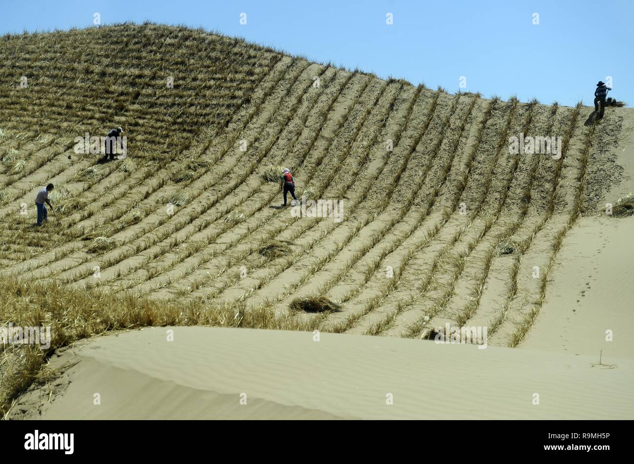 Barriers against erosion hi-res stock photography and images - Alamy