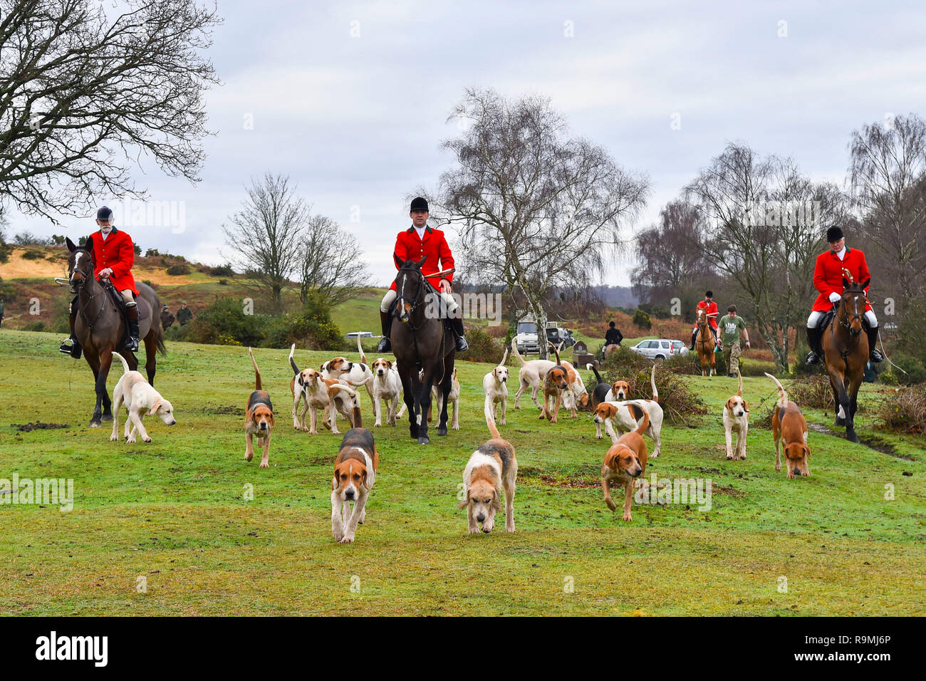 Lyndhurst, Hampshire, UK. 26th December 2018. The New Forest Hounds ...