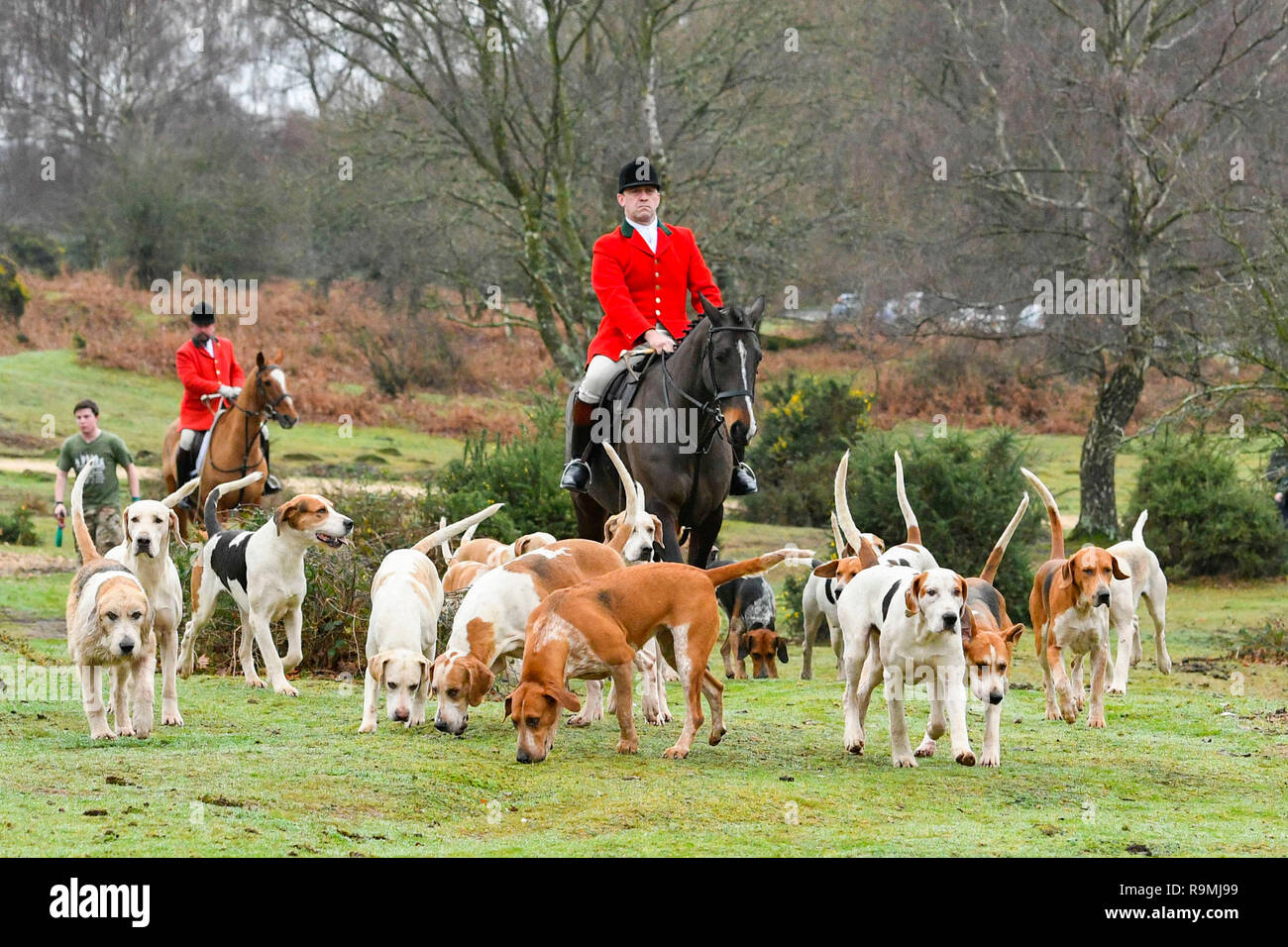 Riding to the hounds hi-res stock photography and images - Alamy