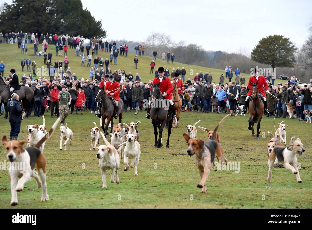 New Forest Hounds Boxing Day Hunt at Bolton's Bench in Lyndhurst ...