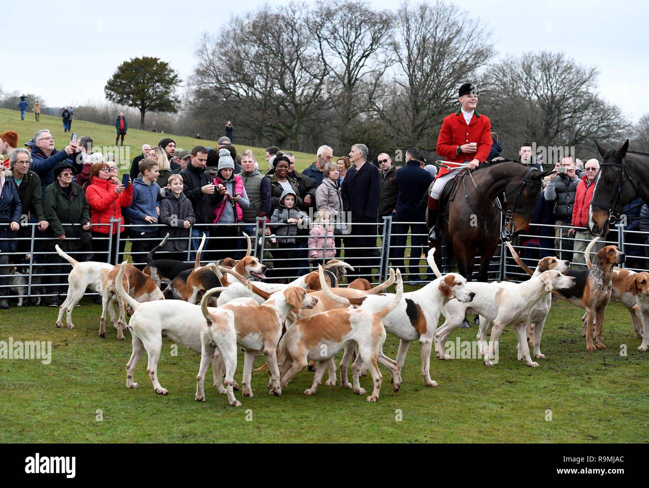 New Forest Hounds Boxing Day Hunt at Bolton's Bench in Lyndhurst ...