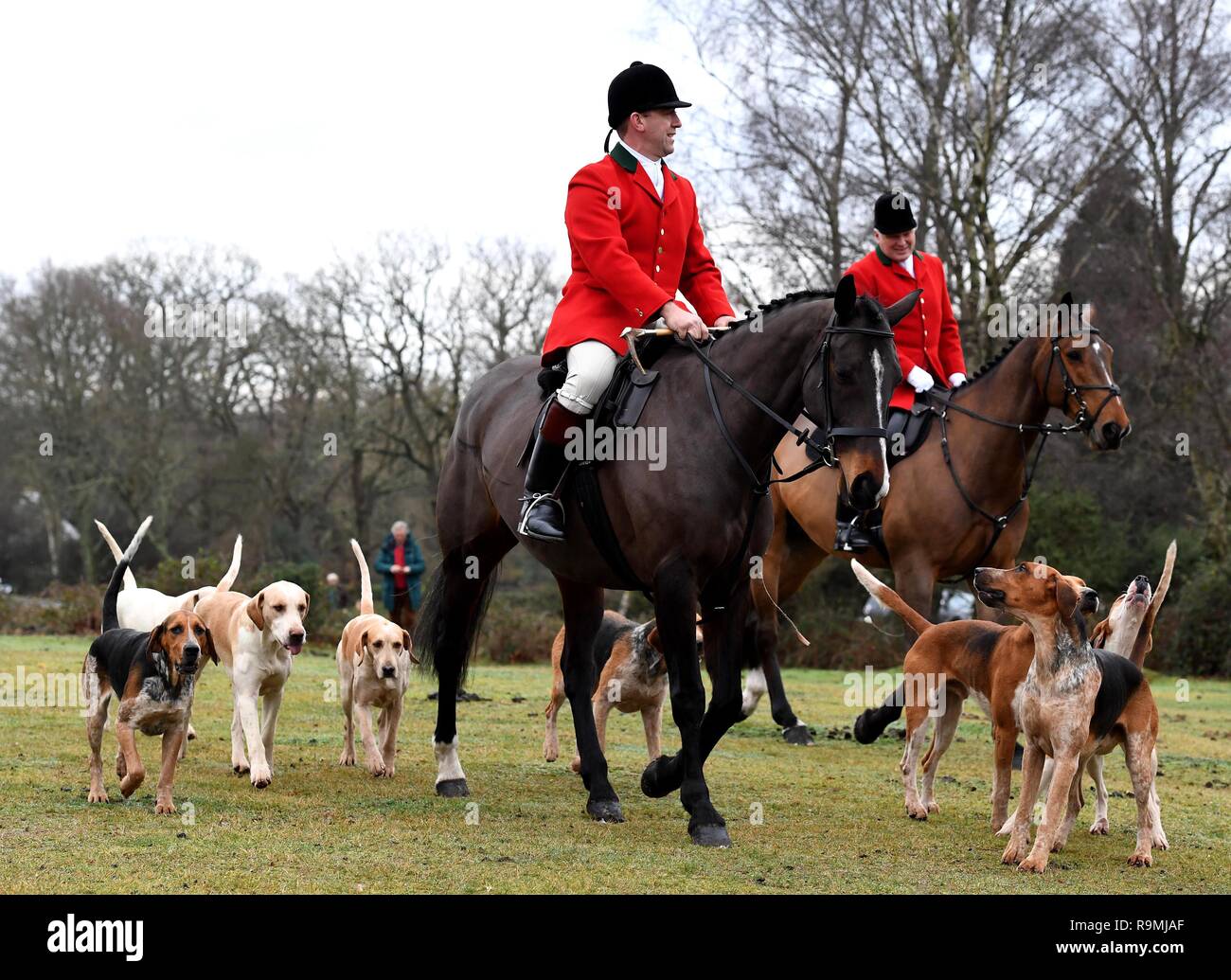 New Forest Hounds Boxing Day Hunt at Bolton's Bench in Lyndhurst ...