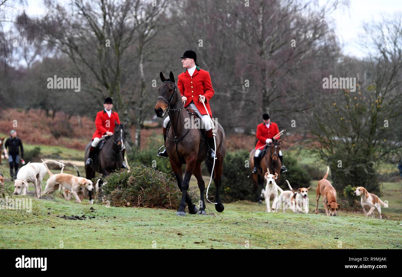 New Forest Hounds Boxing Day Hunt at Bolton's Bench in Lyndhurst ...
