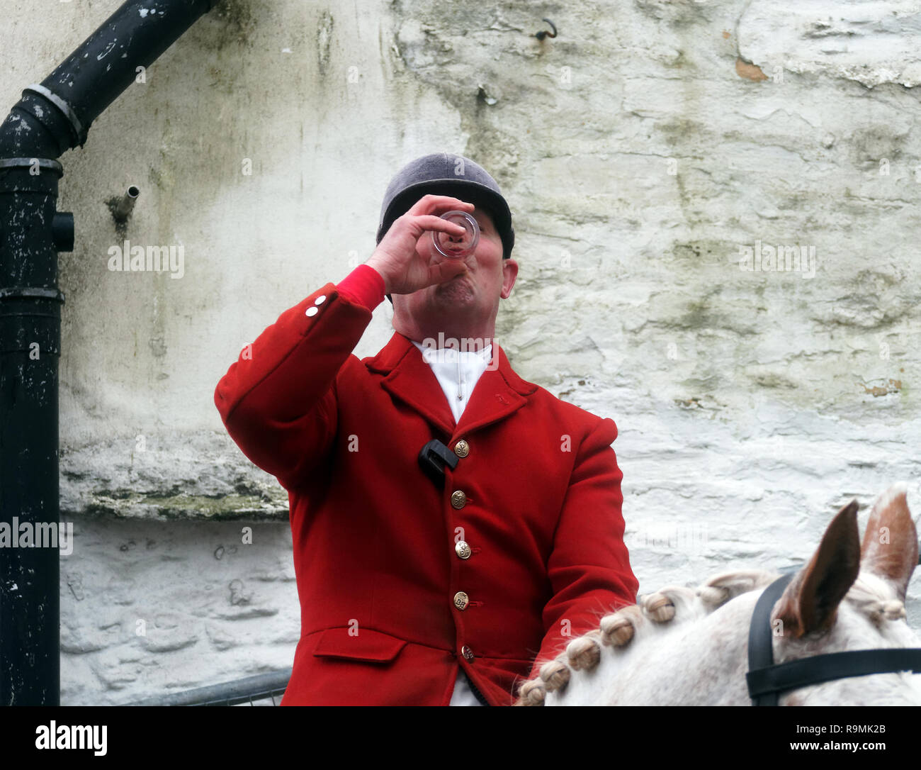 Master of hounds leading a hunt Stock Photo - Alamy
