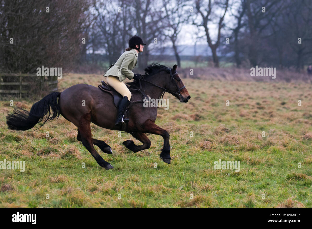 Young female hunt rider hi-res stock photography and images - Alamy