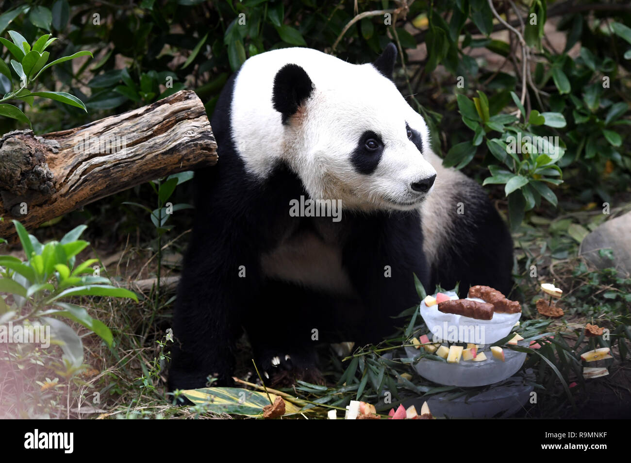 12 year old birthday party hi-res stock photography and images - Alamy