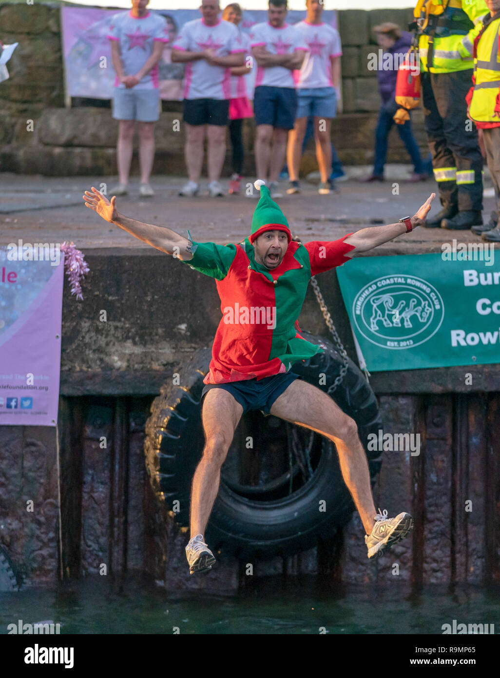 Elf swim hi-res stock photography and images - Alamy