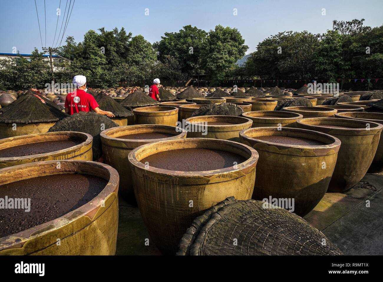 Chongqing, China. 26th Dec, 2018. Numerous pots of soy sauce can be ...