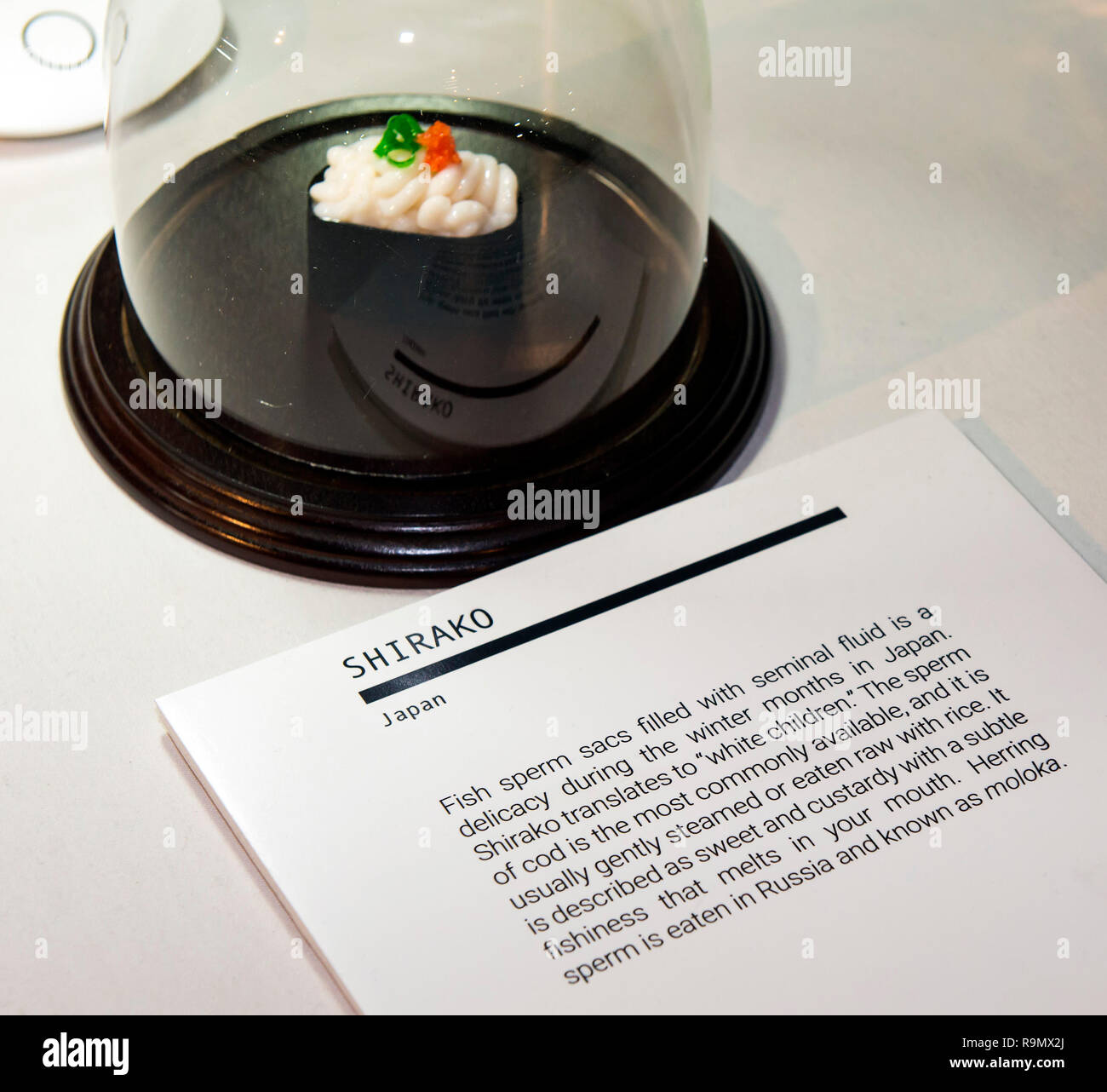 Los Angeles, California, USA. 26th Dec, 2018. Shirako, a Japanese ...