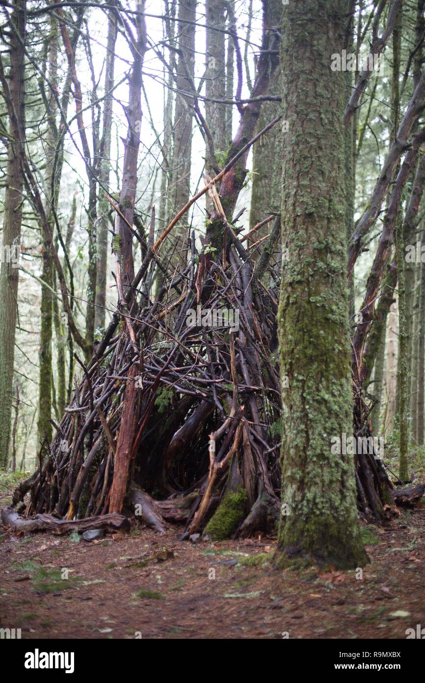 Stick Structure Forest High Resolution Stock Photography and Images - Alamy