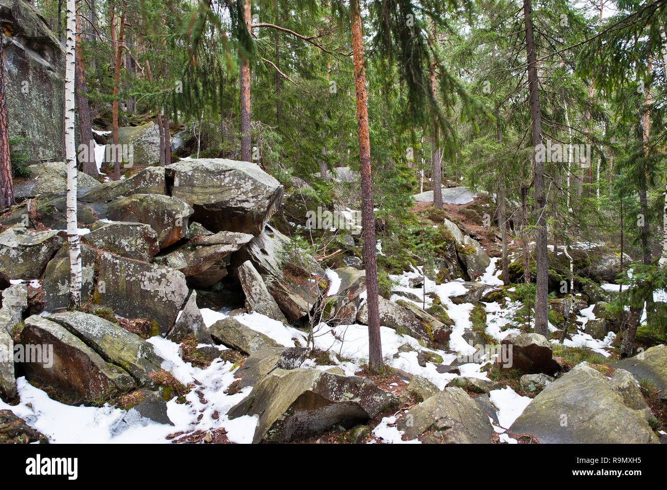 Dovbush rocks in green forest at Carpathian mountains Stock Photo - Alamy