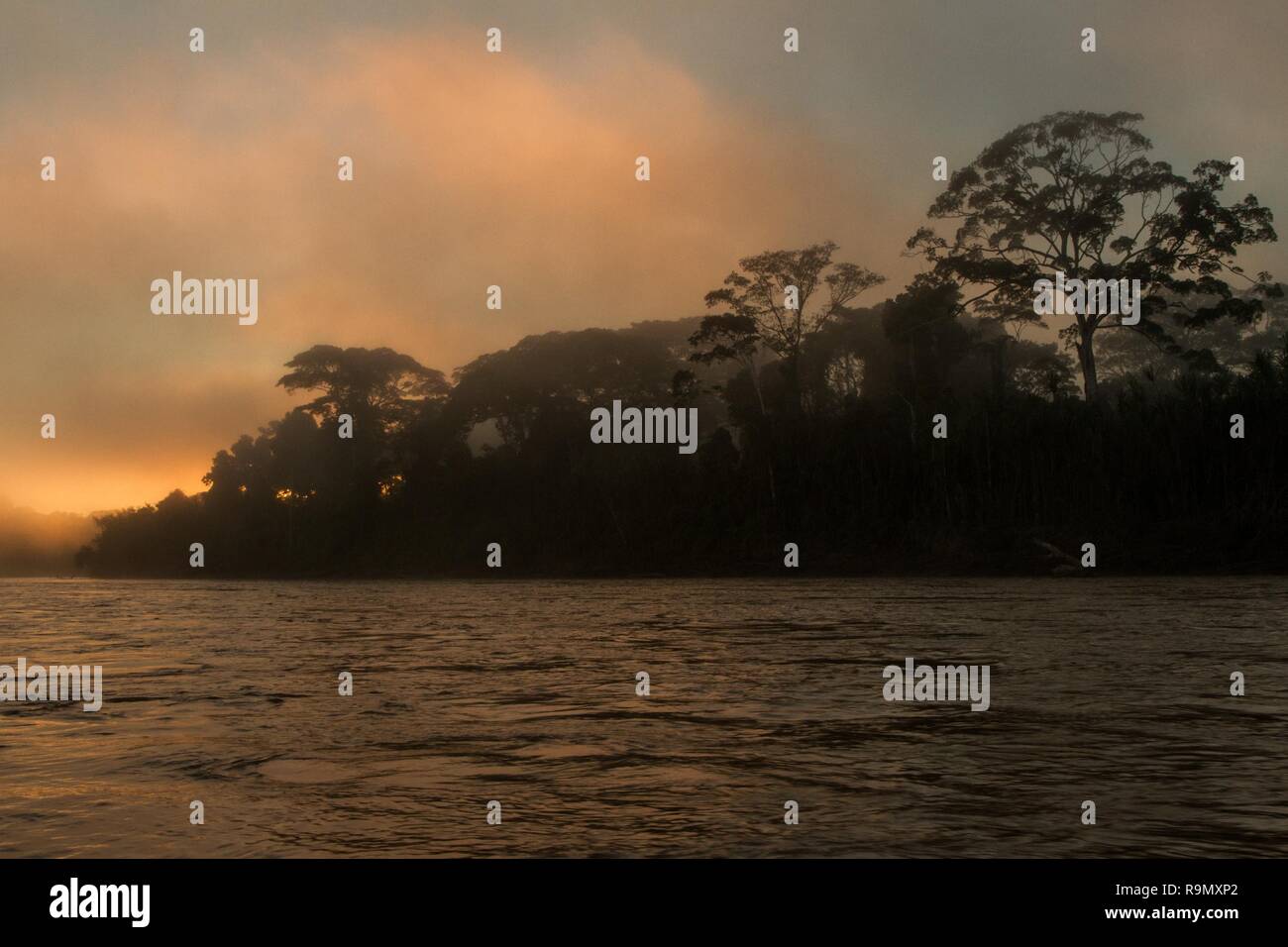 Madre de Dios river in Manu National park with scenery of tropical rain ...