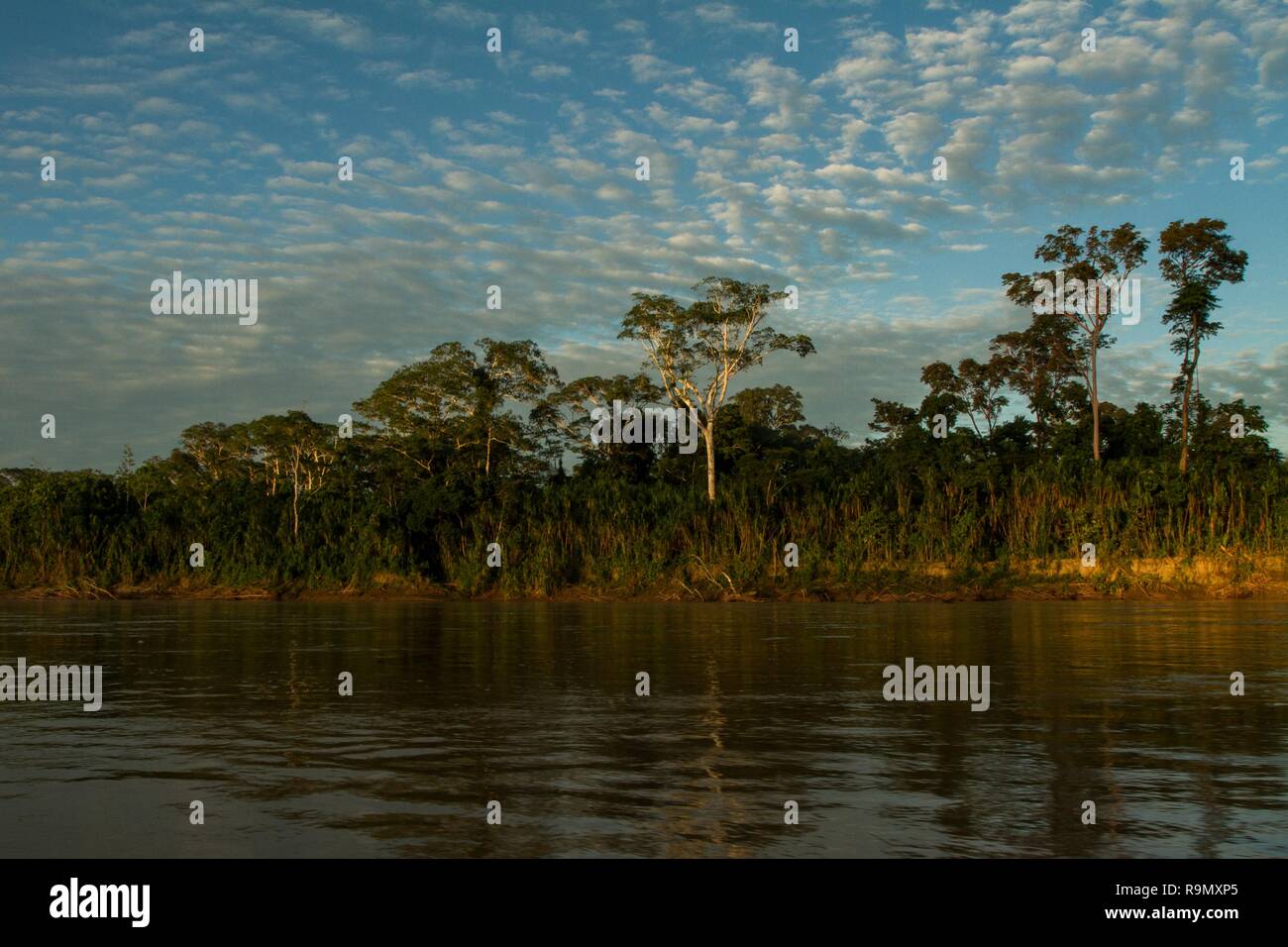 Madre de Dios river in Manu National park with scenery of tropical rain ...