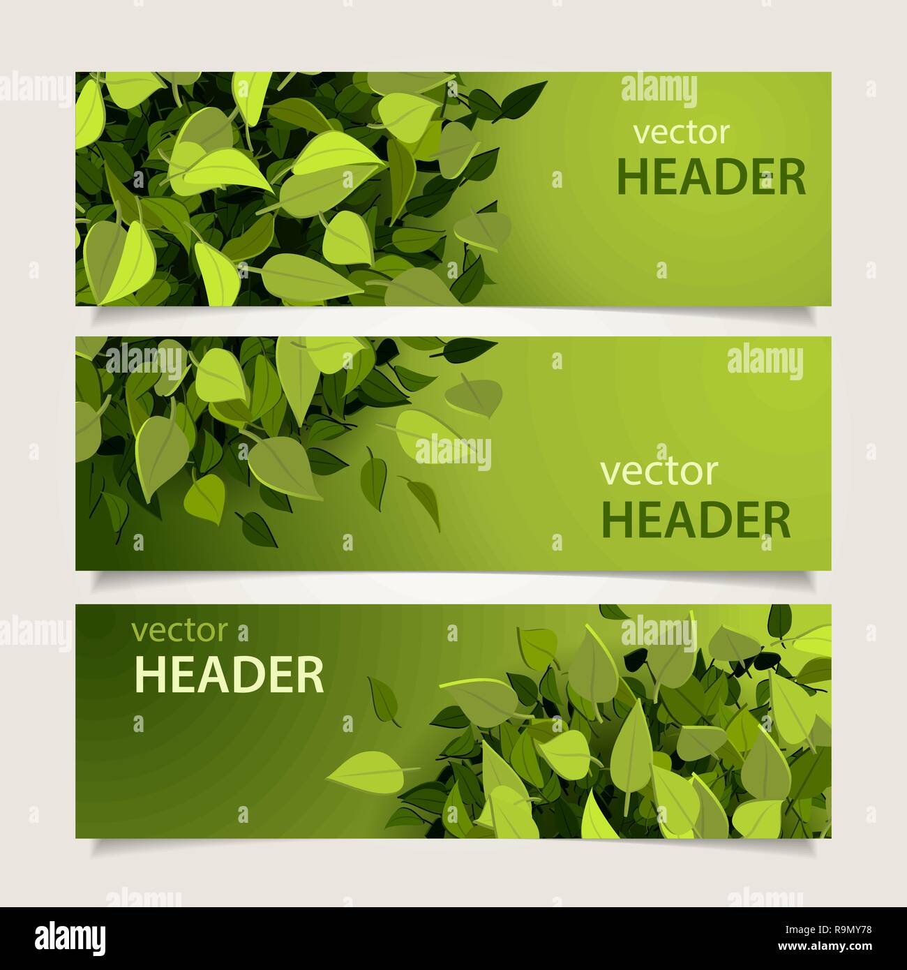 Set of green headers with leaves and banners, vector illustration Stock ...