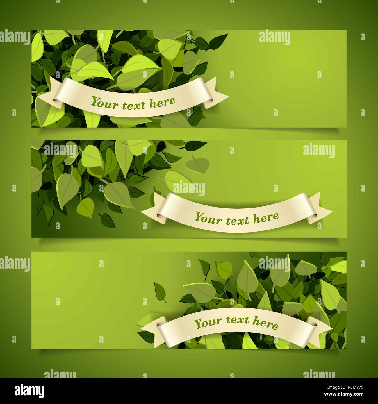 Set of green headers with leaves and banners, vector illustration Stock ...