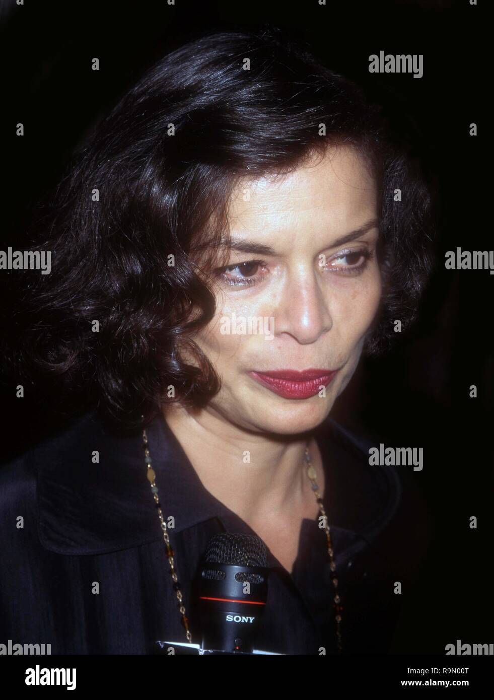 Bianca Jagger 1996 Photo By John Barrett/PHOTOlink Stock Photo - Alamy