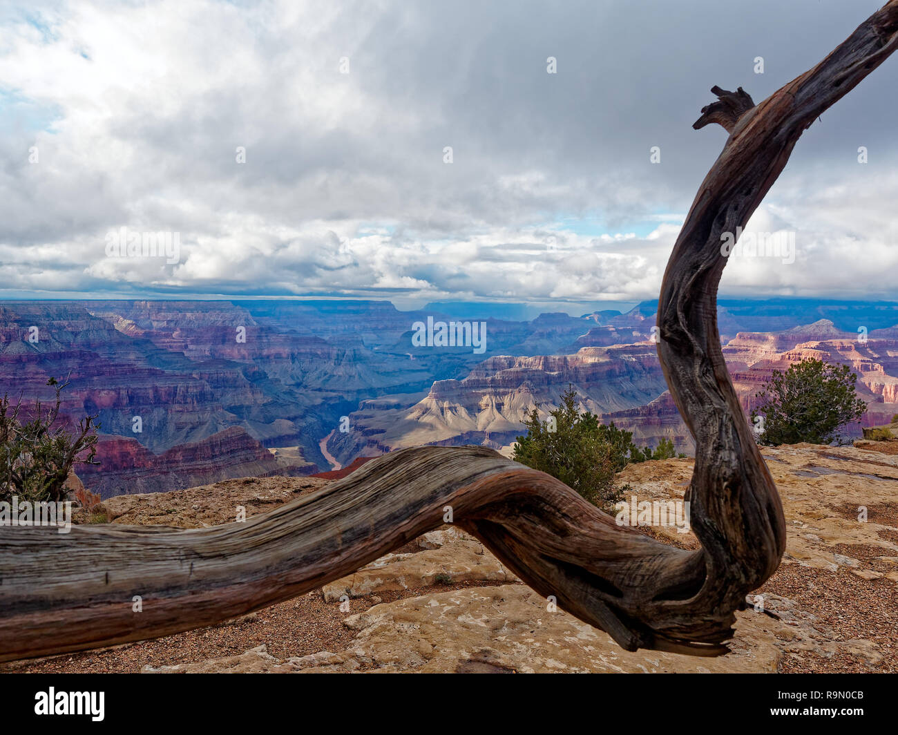 Grand canyon line hi-res stock photography and images - Alamy