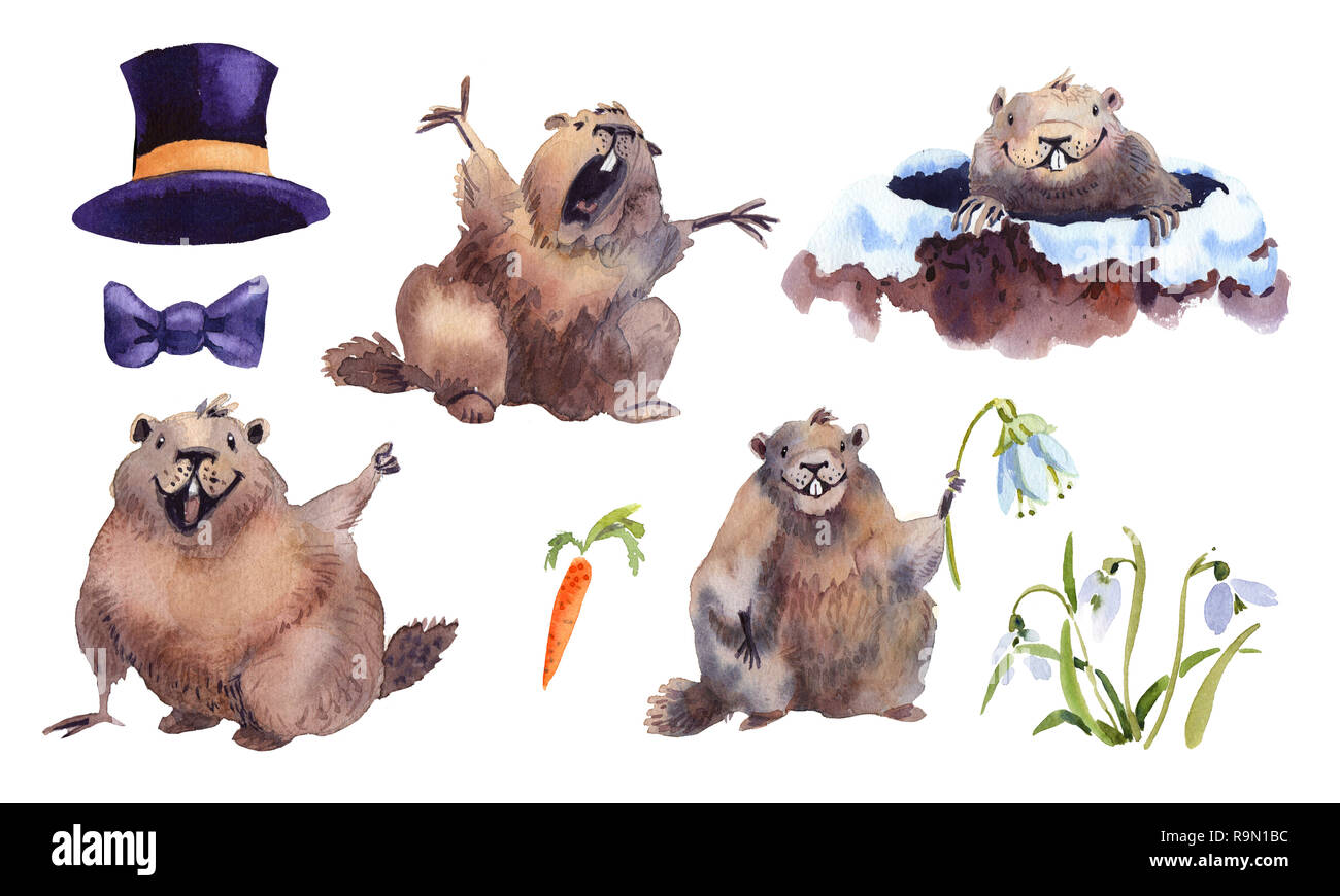 Happy Groundhog Day - hand drawn watercolor collection illustrations ...