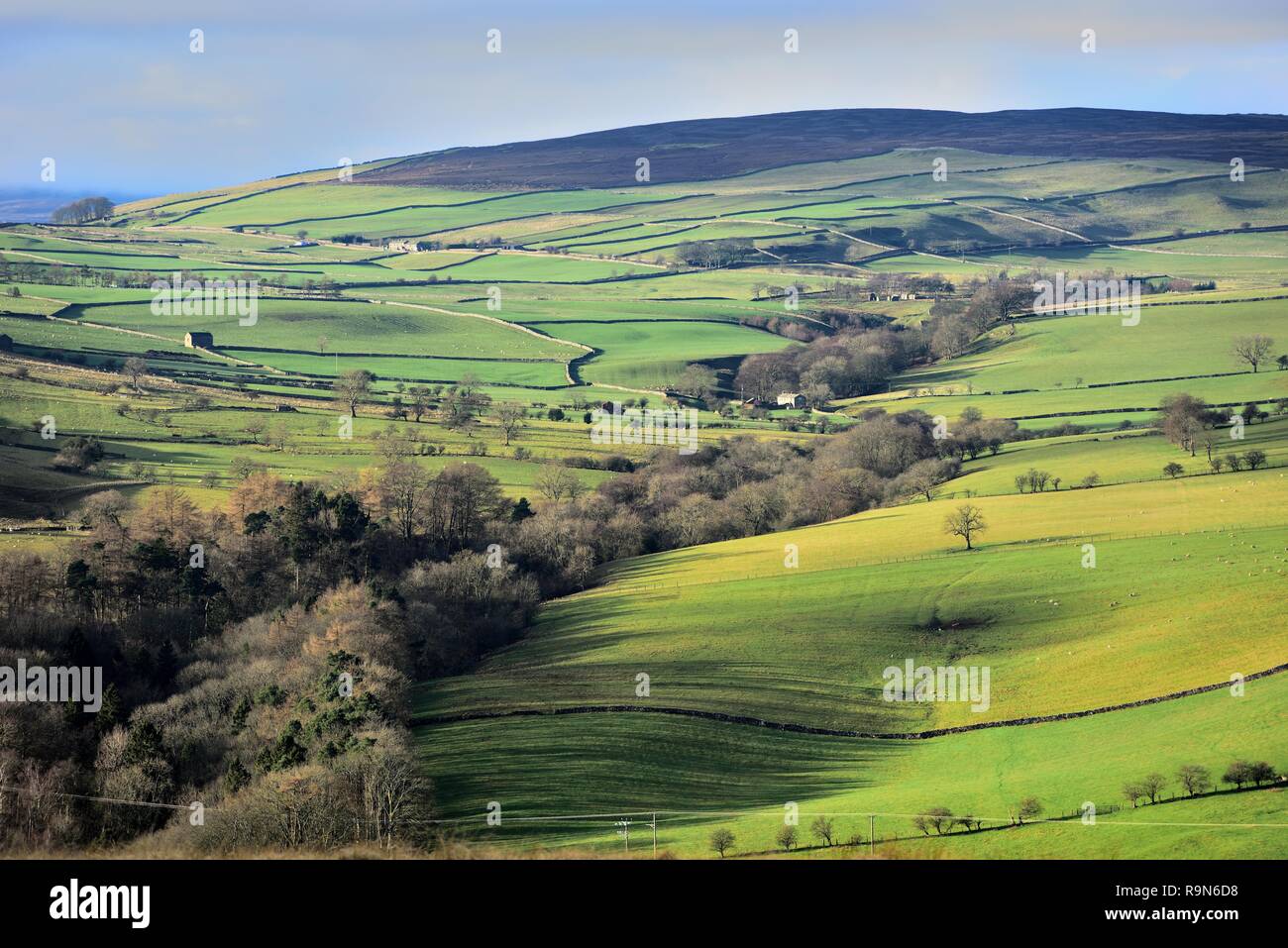 Downholme Stock Photos & Downholme Stock Images - Alamy