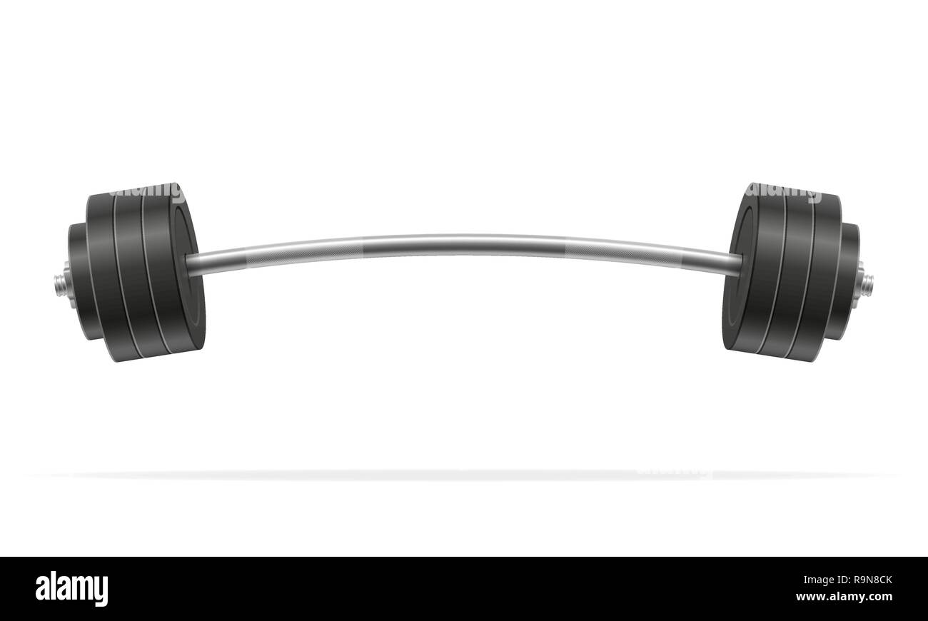metal barbell for muscle building in gym vector illustration at gray ...
