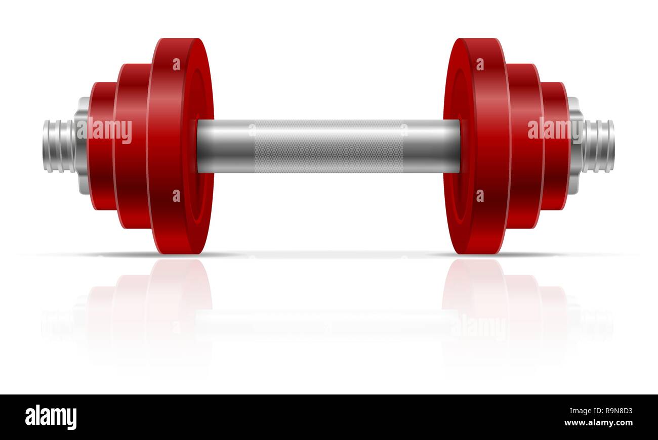 metal dumbbell for muscle building in gym vector illustration at gray background Stock Vector ...