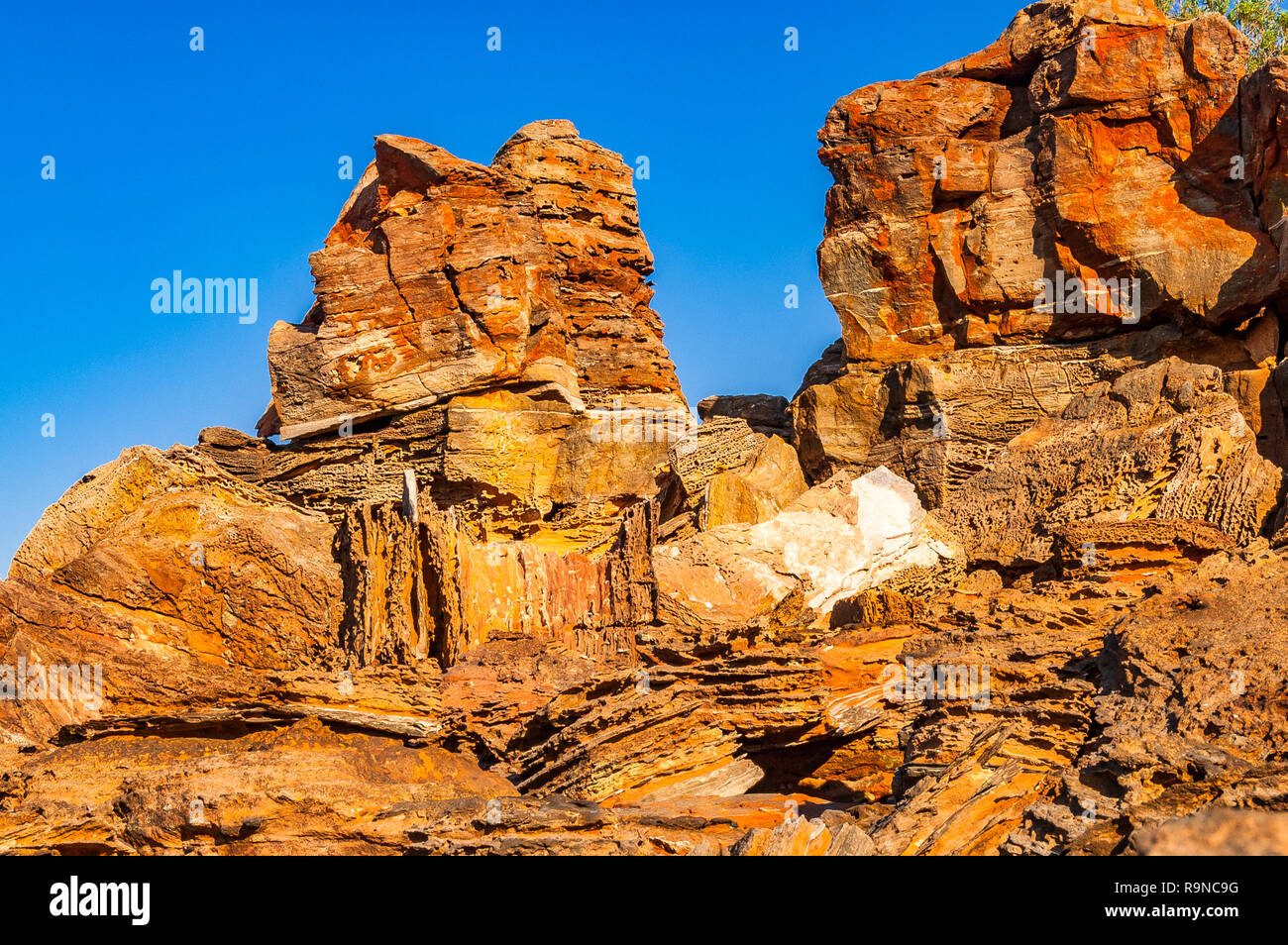 Dinosaur footprints australia hi-res stock photography and images - Alamy