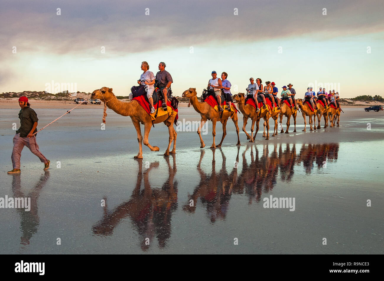 Sunset camel ride on Cable beach for tourists. Broome, Western ...