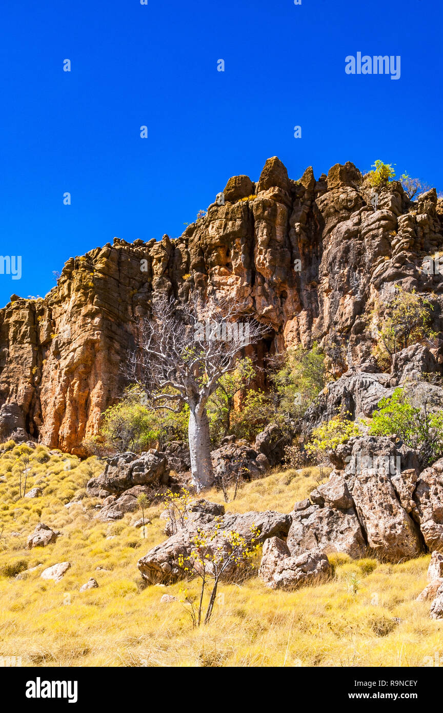 Napier downs cattle station hi-res stock photography and images - Alamy