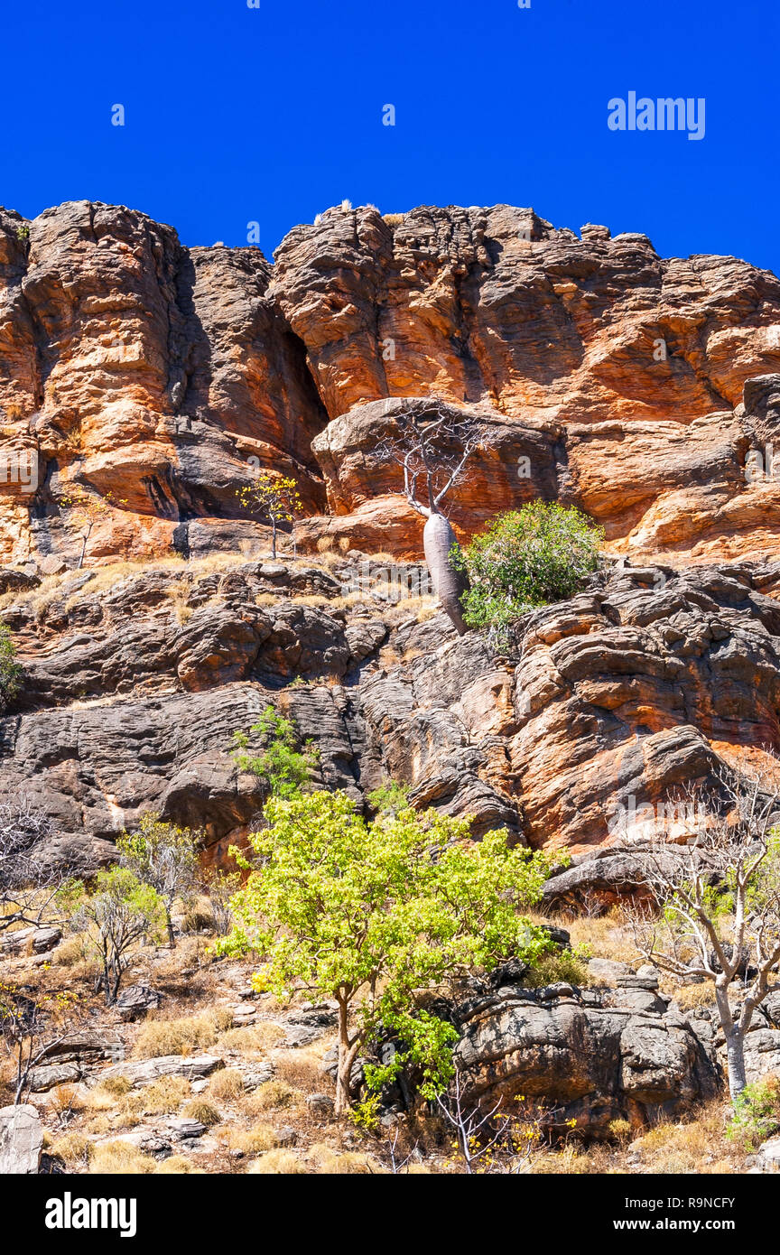 Napier ranges western australia hi-res stock photography and images - Alamy