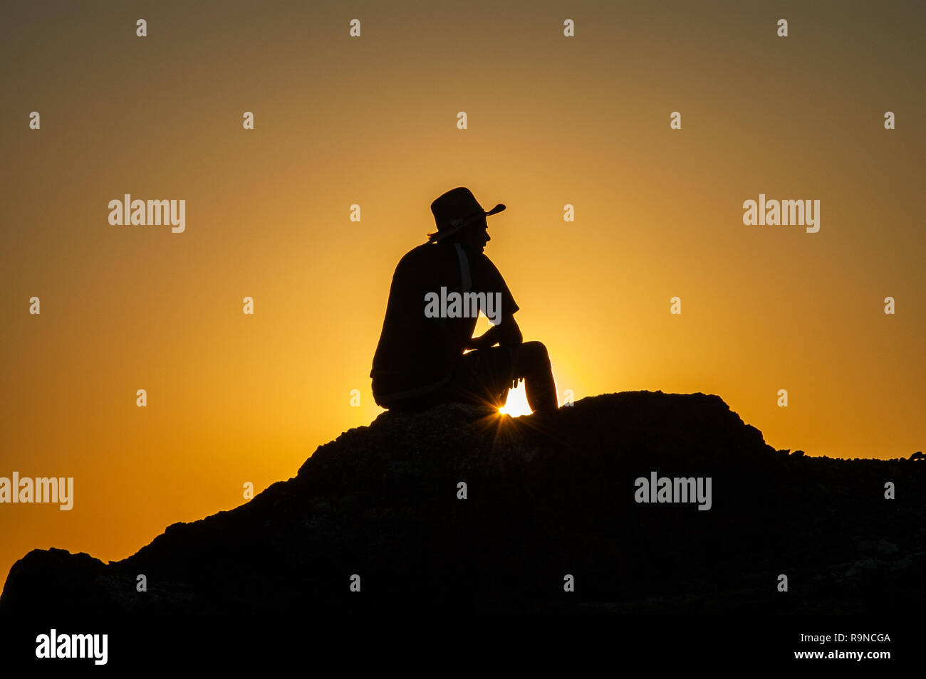 Napier downs cattle station hi-res stock photography and images - Alamy