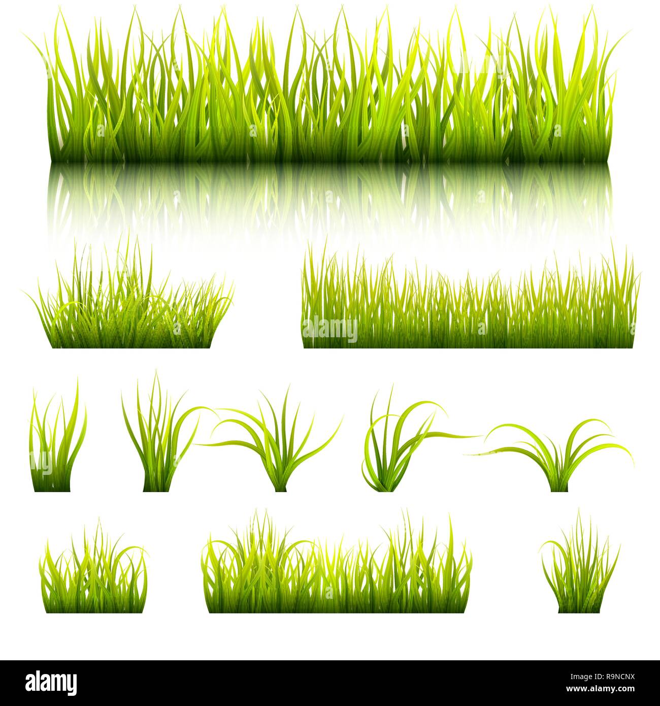 Set of elements of a green grass. Vegetable border. Cane with ...