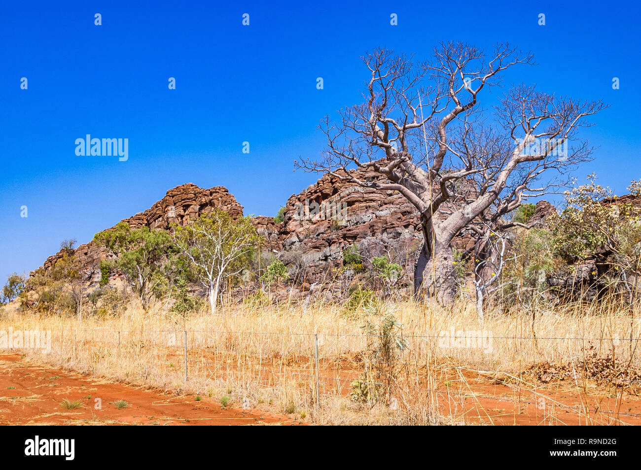 Napier ranges western australia hi-res stock photography and images - Alamy